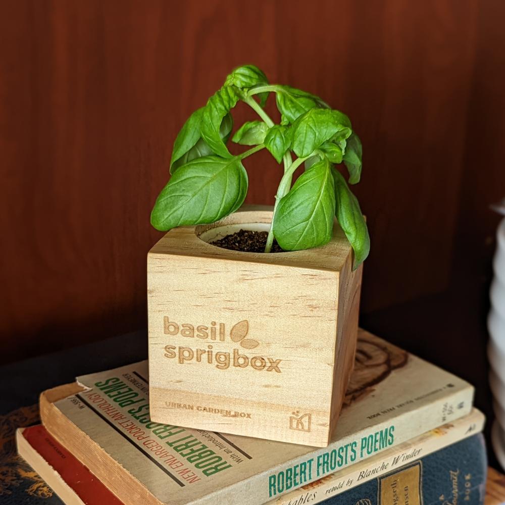 Grow Kits – Sprigbox