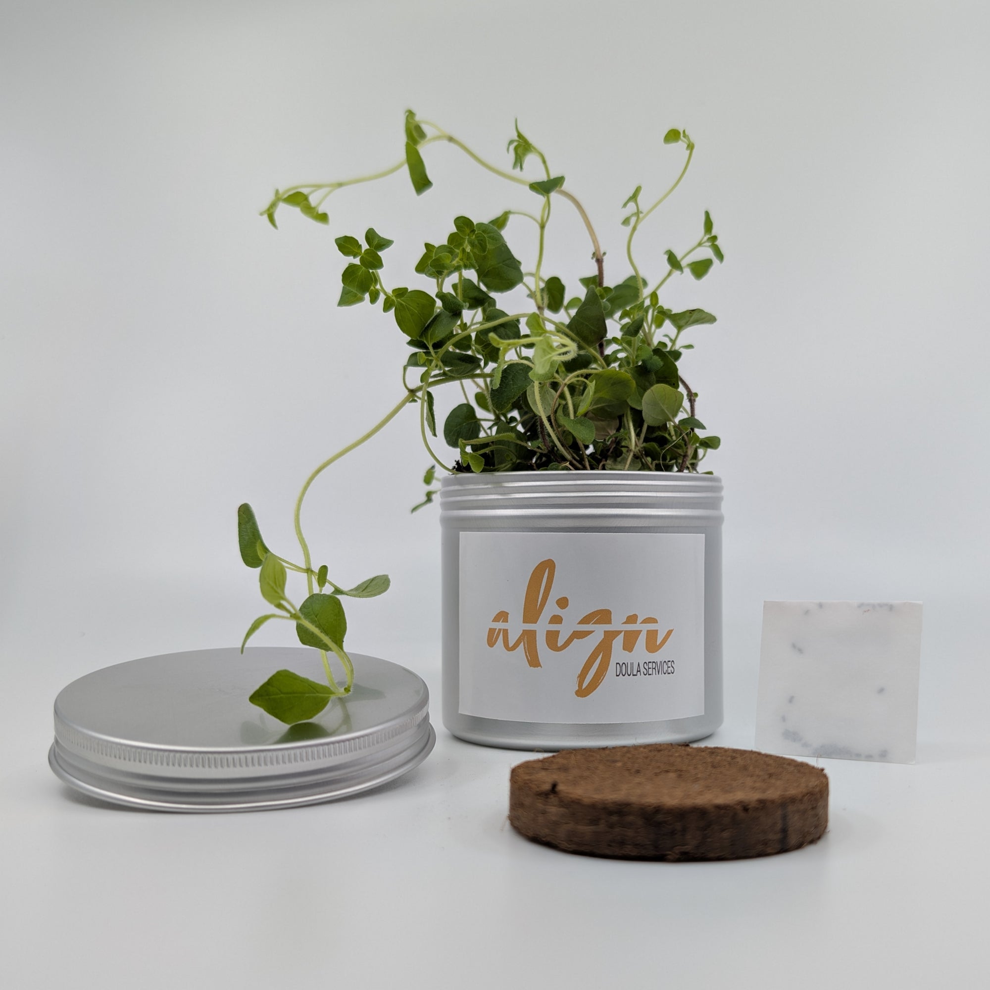 Custom - Metal Tin Grow Kit – Sprigbox