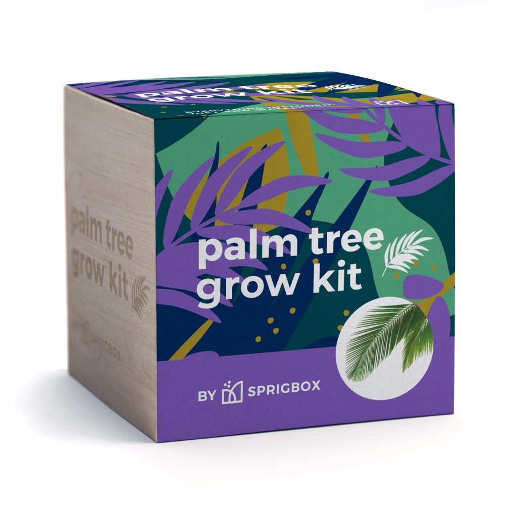 Grow Kit - Palm Tree – Sprigbox